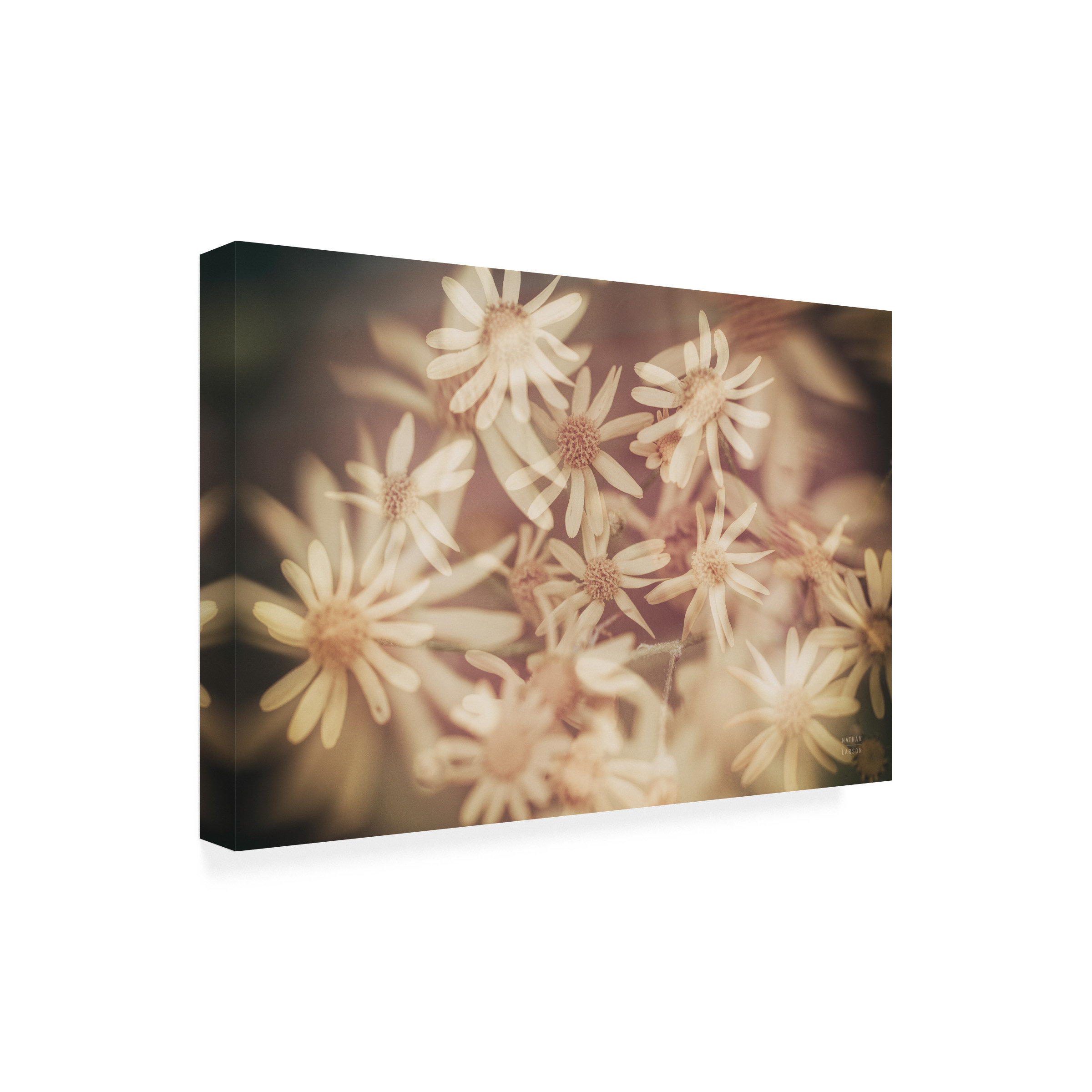 Union Rustic Wild Blooms III On Canvas Print | Wayfair