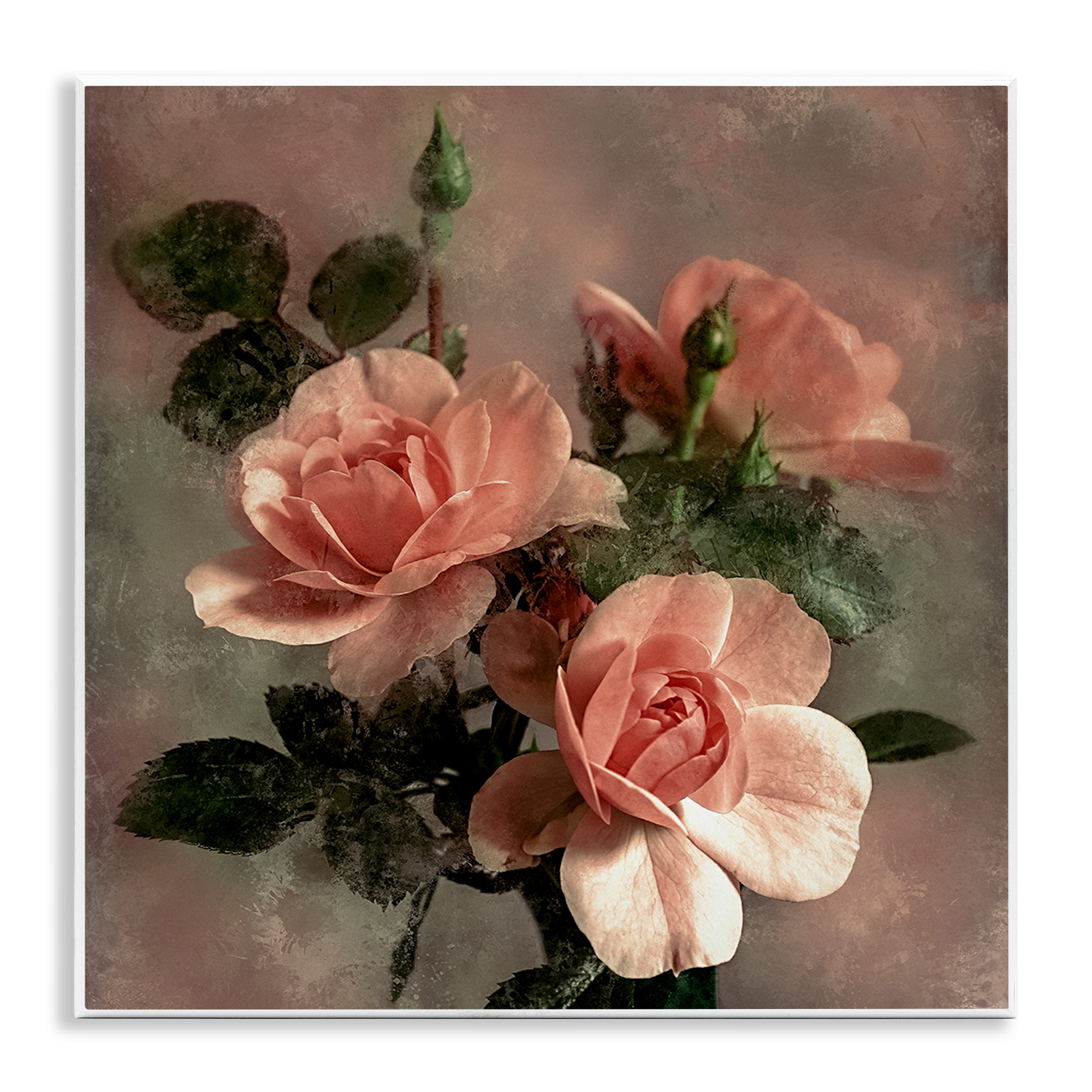 Fleur De Lis Living Vintage Blush Petals Wall Plaque Art by David Pollard - Wayfair Canada