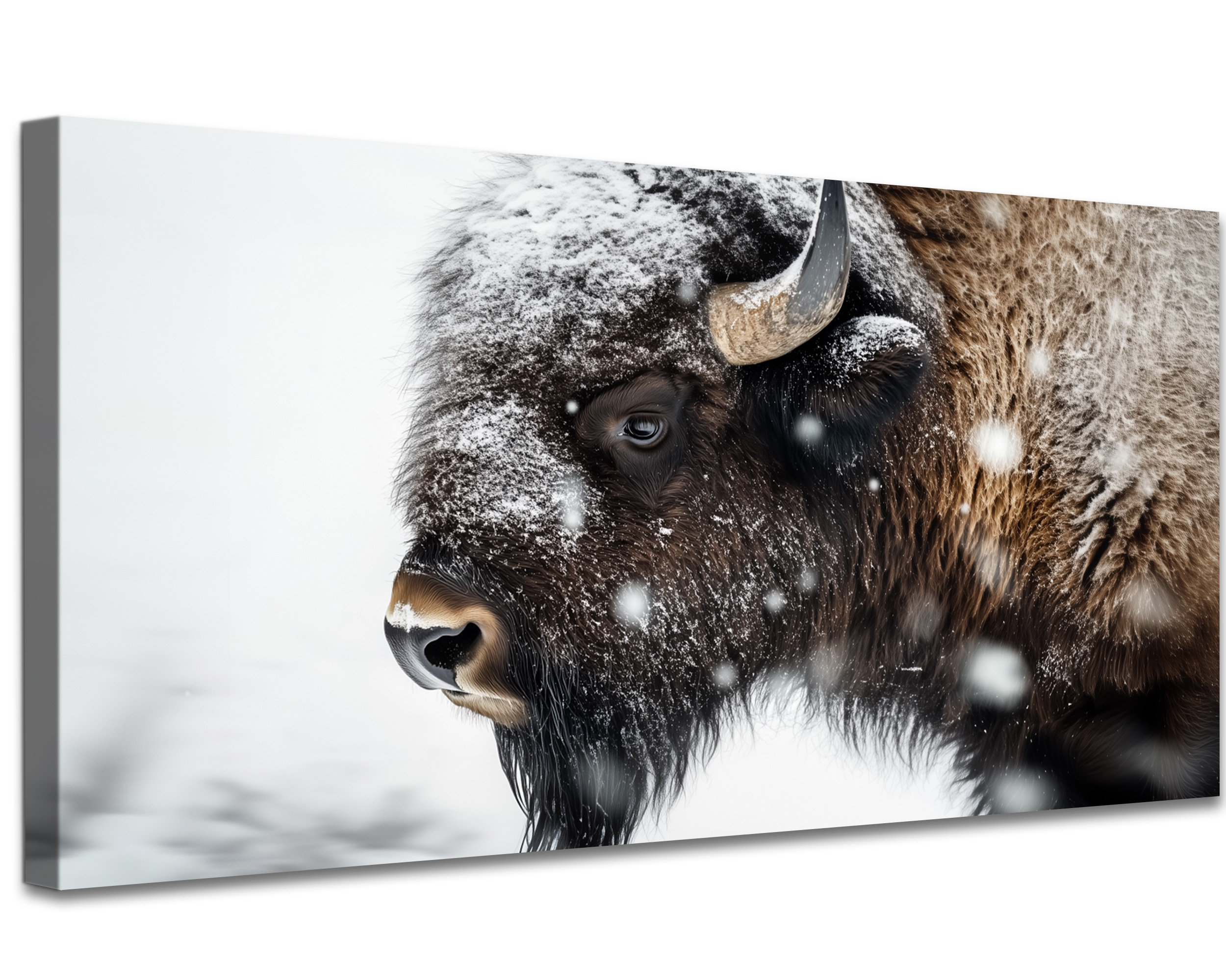 The Holiday Aisle® Winter Bison Wall Art - Majestic American Buffalo ...
