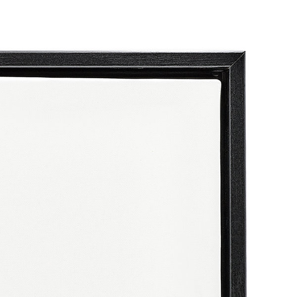 Ophelia & Co. Subtle Fading White Hydrangeas Floating Frame, design by ...