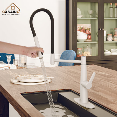 CASAINC Spring Neck Standard Kitchen Faucet with Dual-Function spray ...