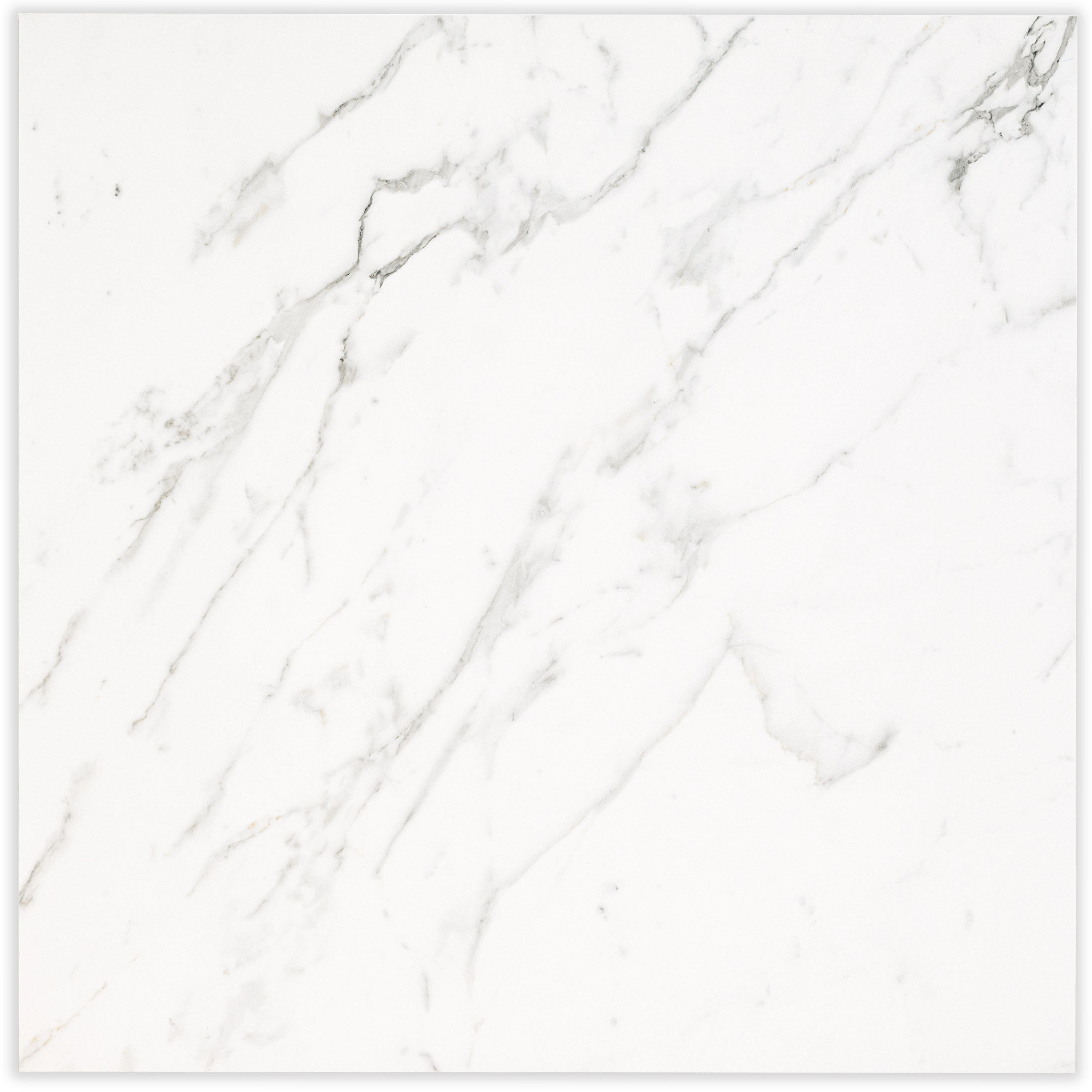 Ackland Regallo 24" x 24" Marble Look Matte Porcelain Wall & Floor Tile ...