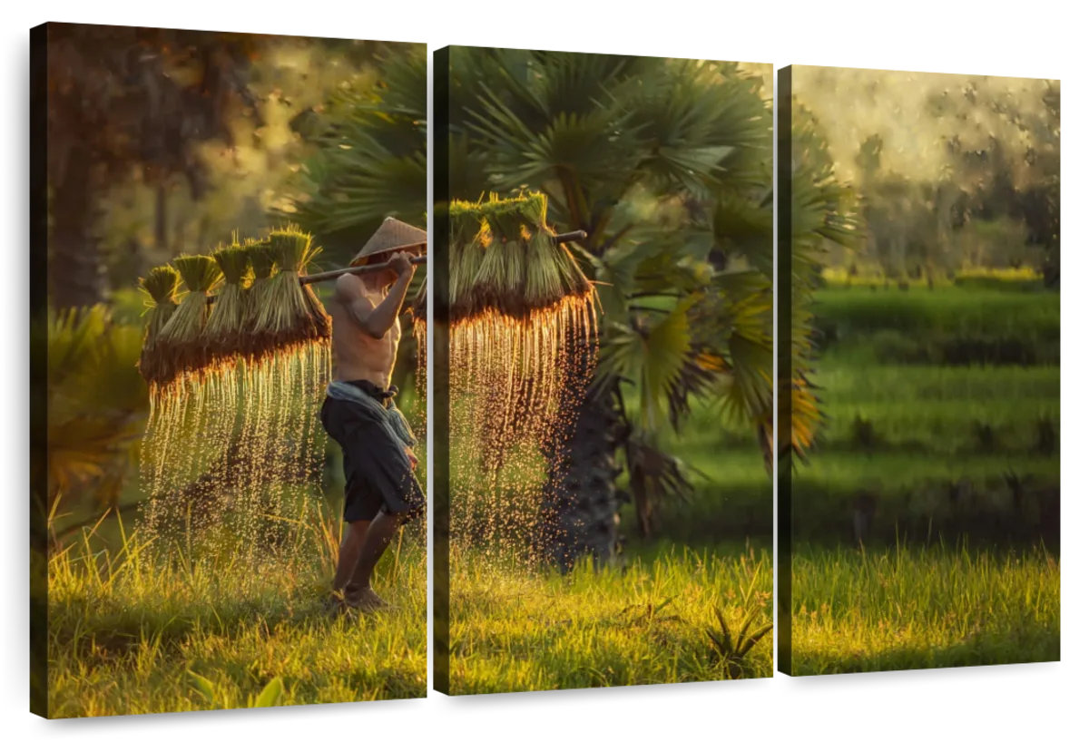 Elephant Stock Rice Field Farmer | Wayfair