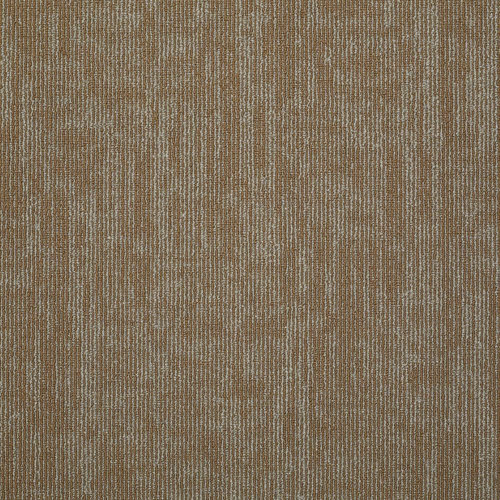 Shaw Floors Apollo 24-in x 24-in Multi-Level Loop Adhesive Carpet Tile ...