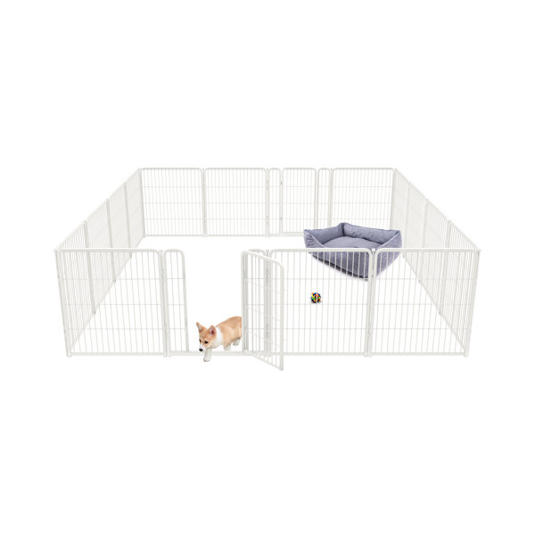 FXW 16 Panel Metal Exercise Pen With Door | Wayfair