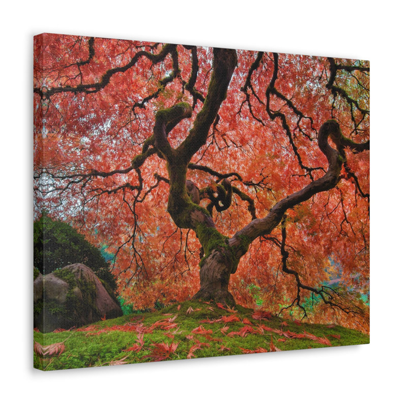 Ebern Designs Old Japanese Maple Tree In Japanese Garden Canvas Wall ...