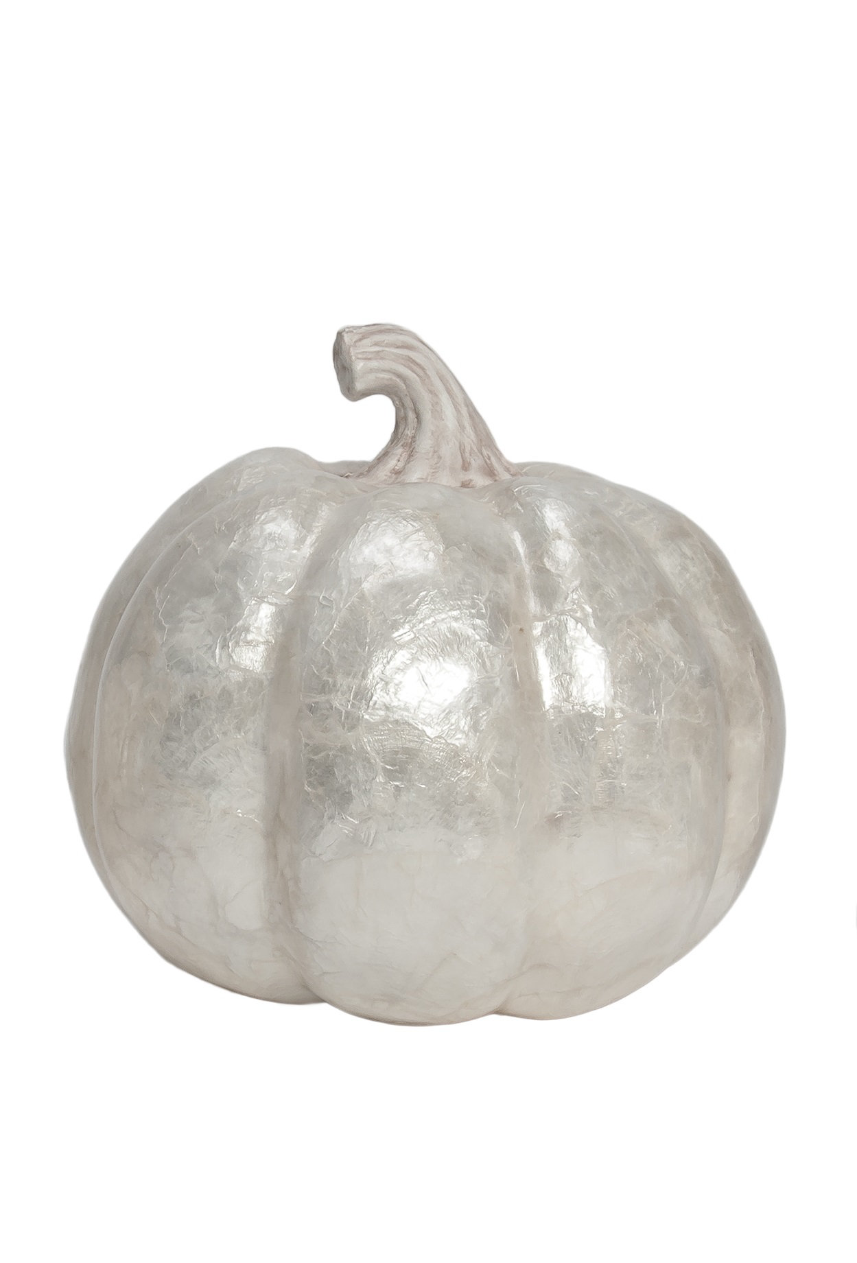 August Grove® Large Tabletop Capiz Pumpkin | Wayfair