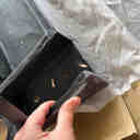 Winston Porter Deth Tufted Velvet Upholstered Platform Bed & Reviews ...