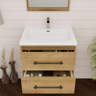 MEBO Victoria 24'' Wall-Mounted Vanity with Reinforced Acrylic Sink ...