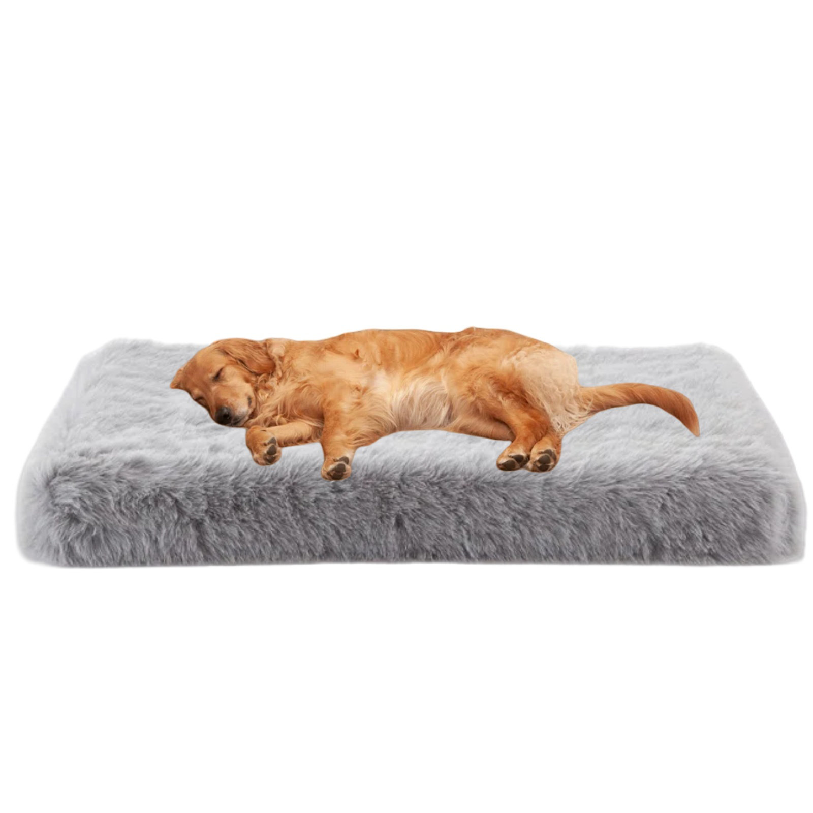 Tucker Murphy Pet™ Lit pour chien Fluffy Orthopedic avec housse ...
