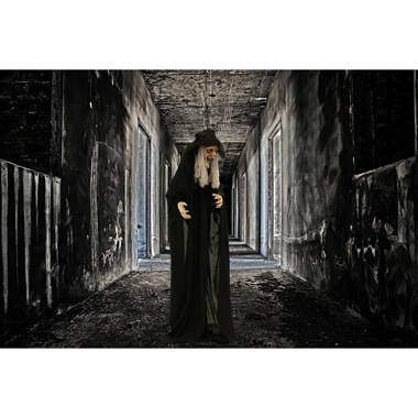 The Holiday Aisle® Wicca Psychic Fortune Teller Scrying Witch Crystal ...