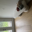 AllModern Anston 56" Boucle Bench & Reviews | Wayfair