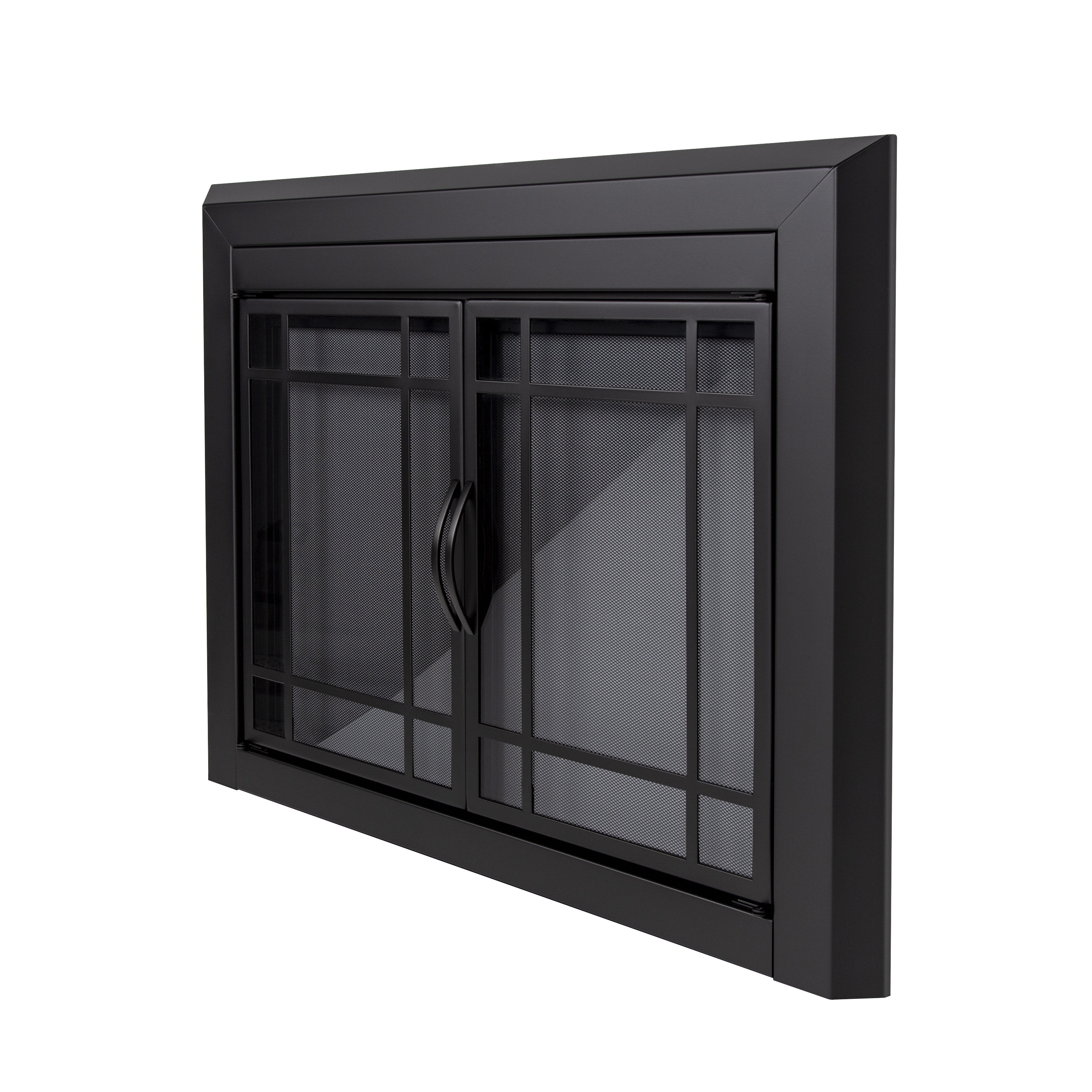 Winston Porter Ghalib Cabinet Steel Fireplace Door & Reviews | Wayfair