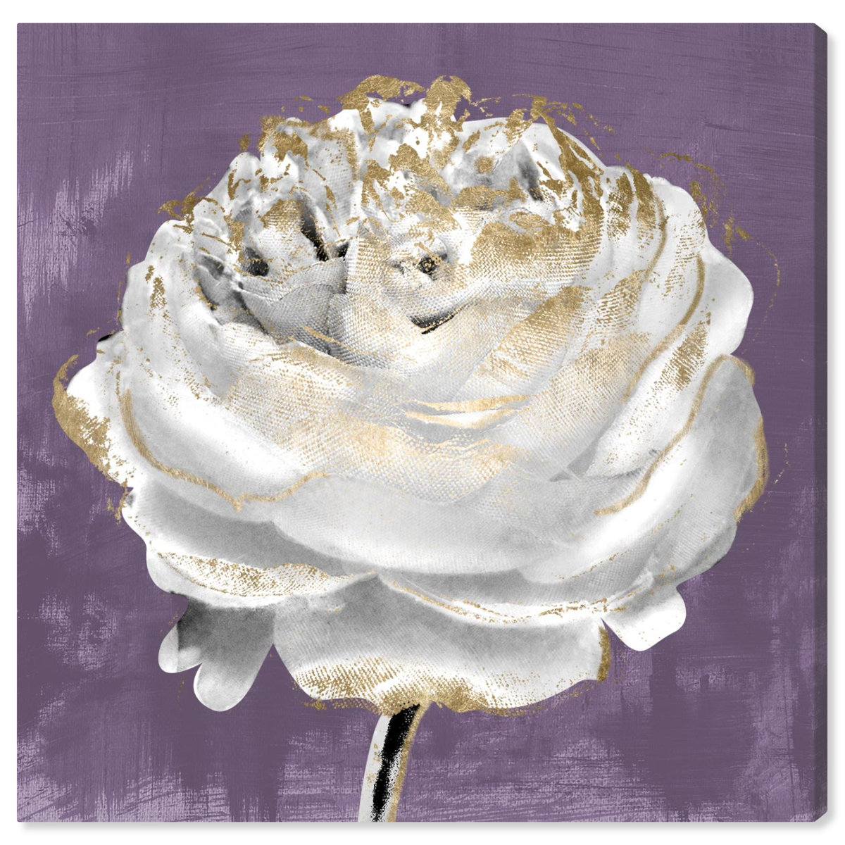 Rosdorf Park 'Lilac Ranunculus' Painting Print on Canvas | Wayfair