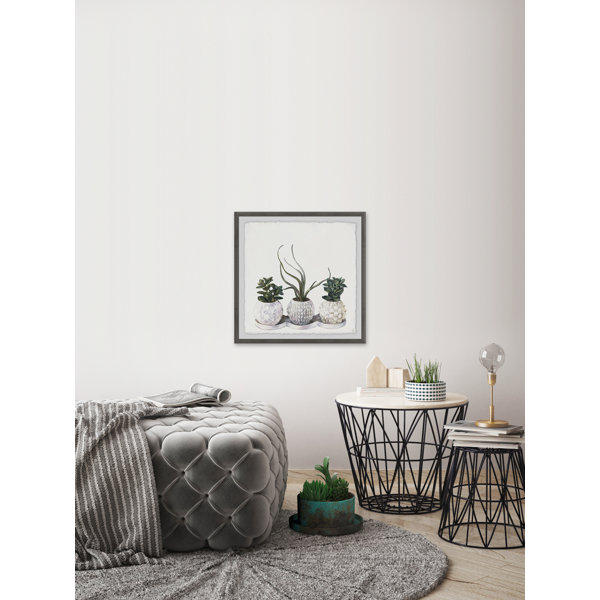 Bungalow Rose Classy Succulents Framed On Paper Print | Wayfair