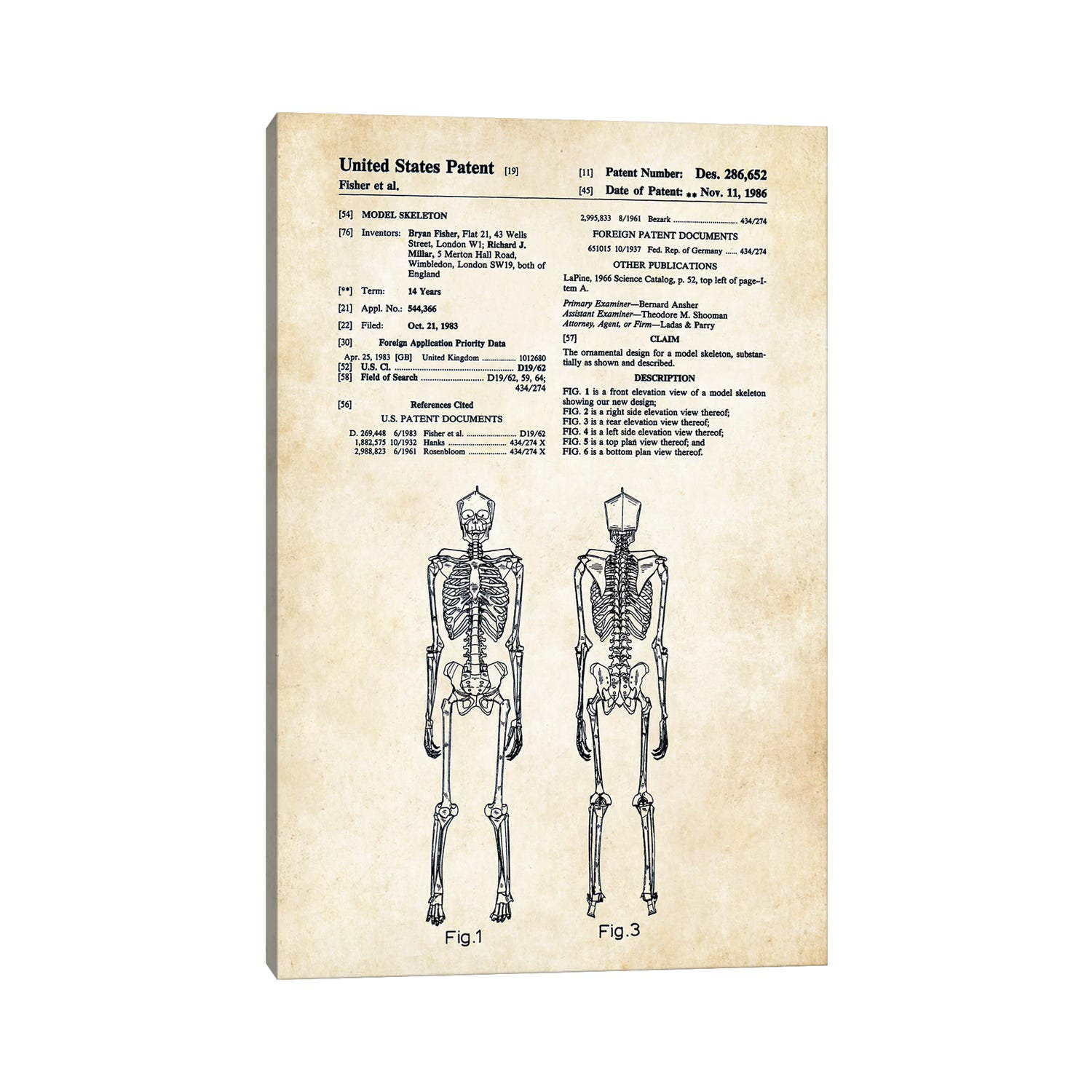 East Urban Home Skeleton by Patent77 - Wrapped Canvas Textual Art | Wayfair