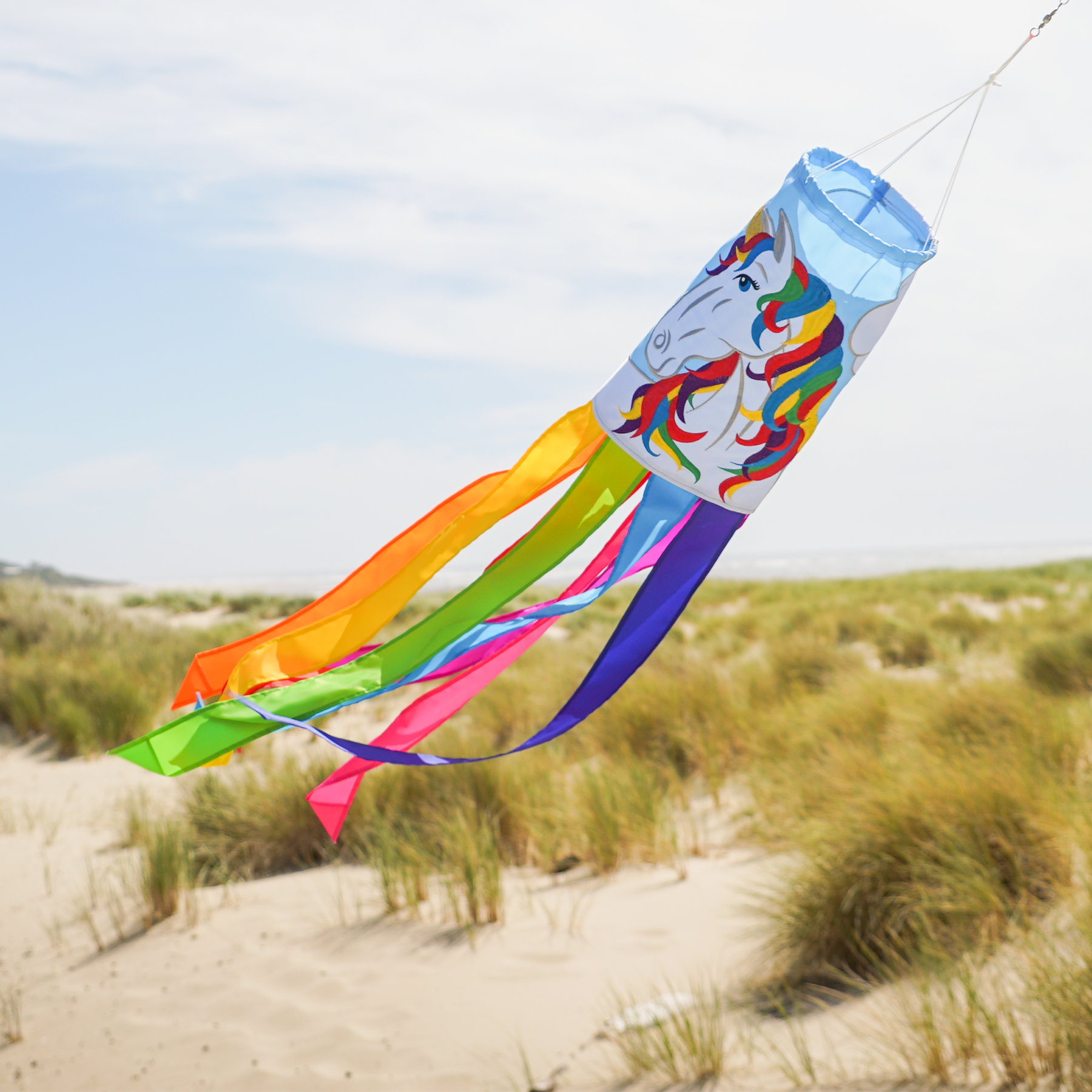 In The Breeze Unicorn 40-inch Windsock | Wayfair