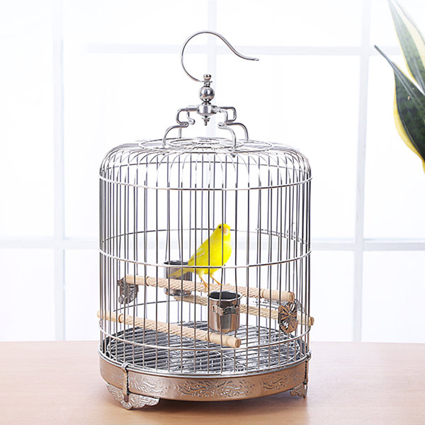 Tucker Murphy Pet™ Cage à oiseaux suspendue 15,74 po de haut Aram ...