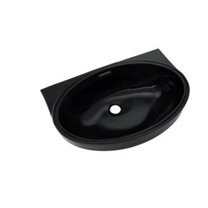 TOTO Rimless Undermount Sink | Wayfair
