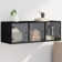 Alpen Home Bellburns Rectangle Accent Cabinet | Wayfair.co.uk