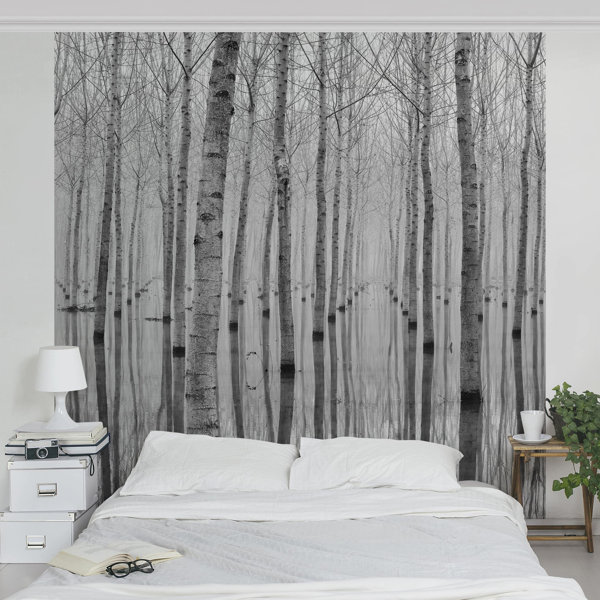 East Urban Home Birch Wood in November 1.92m x 1.92m Textured Matte ...