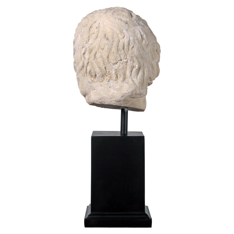 Design Toscano Alexander the Great Bust on Museum Mount & Reviews | Wayfair