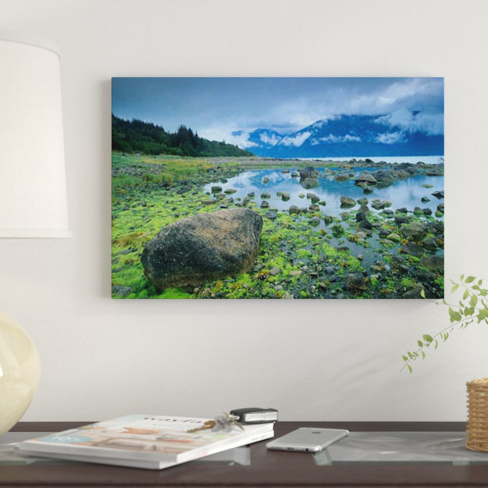 East Urban Home 'Low Tide Revealing Algae Covered Rocks, Alaska ...