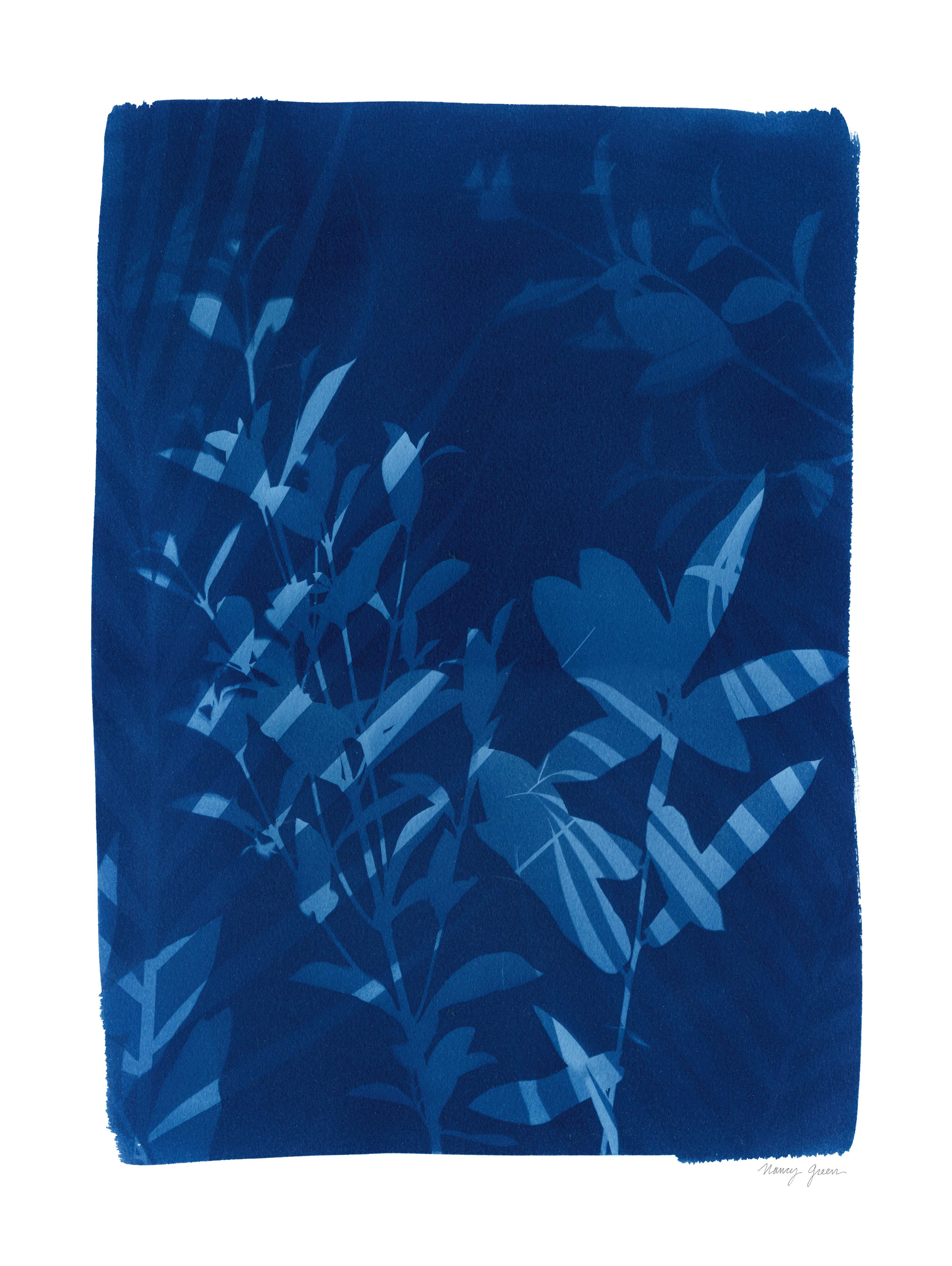 Wildon Home® Cyanotype Tropical VI - Wrapped Canvas Print | Wayfair