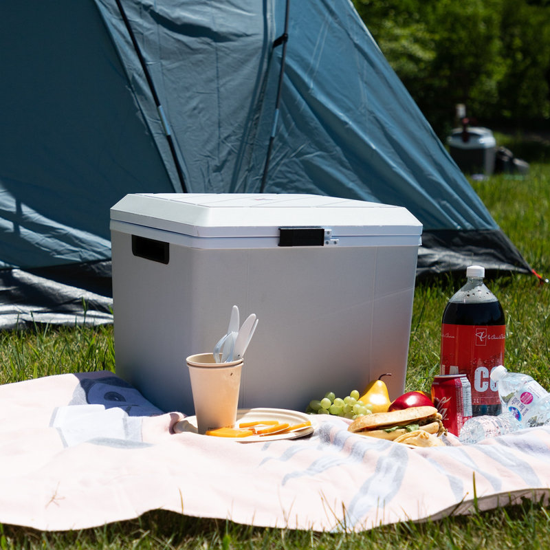 Koolatron 12V Electric Cooler/Warmer 27L (29 qt), Two-Way Design, Gray ...