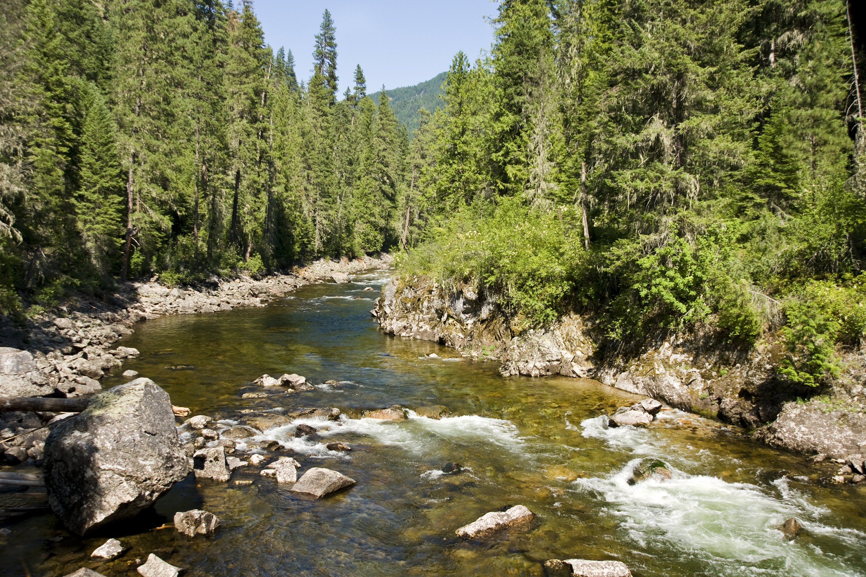 Millwood Pines Moose Creek by Thundor | Wayfair