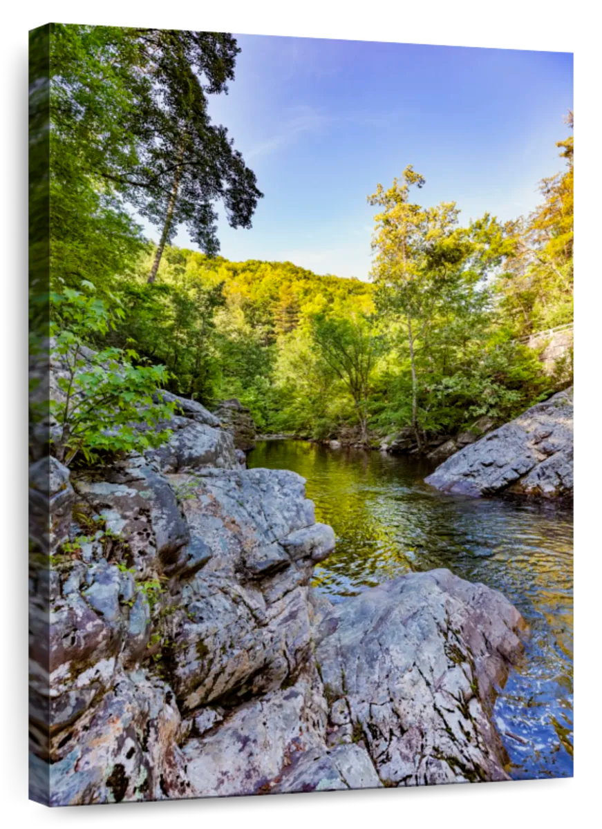 Elephant Stock Little Tennessee River | Wayfair