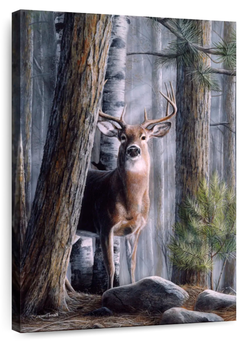 Ebern Designs Brampt Simply Curious | Wayfair