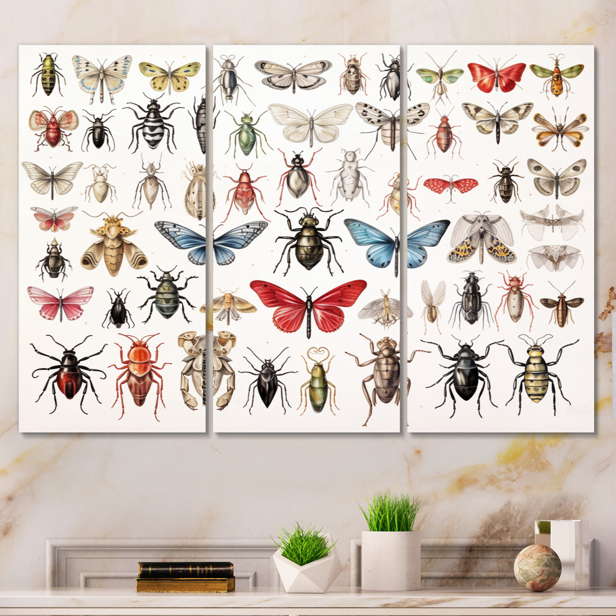 August Grove Tiny Insect Wonders II - Animals Wall Decor Set - Wayfair ...