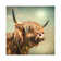 Natur Pur Fringe by Mark Gemmell - Wrapped Canvas Painting | Wayfair.co.uk