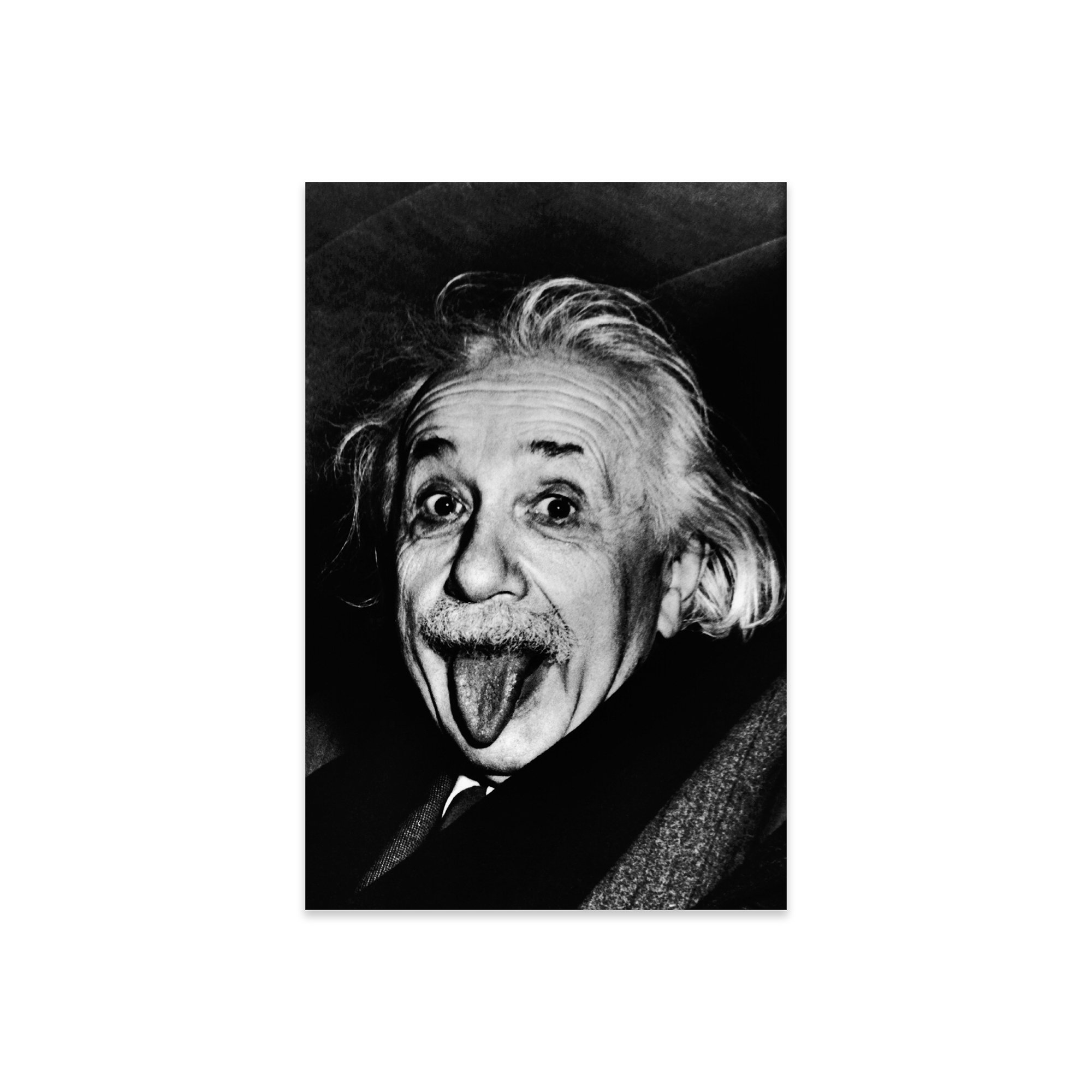 Ebern Designs Albert Einstein, Sticking His Tongue Out On Plastic ...