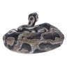 Hi-Line Gift Ltd. REGIUS BALL PYTHON STATUE & Reviews | Wayfair