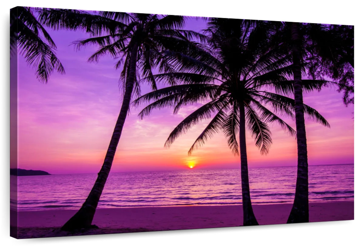 Beachcrest Home™ Gillard Purple Gillard Palm Trees | Wayfair
