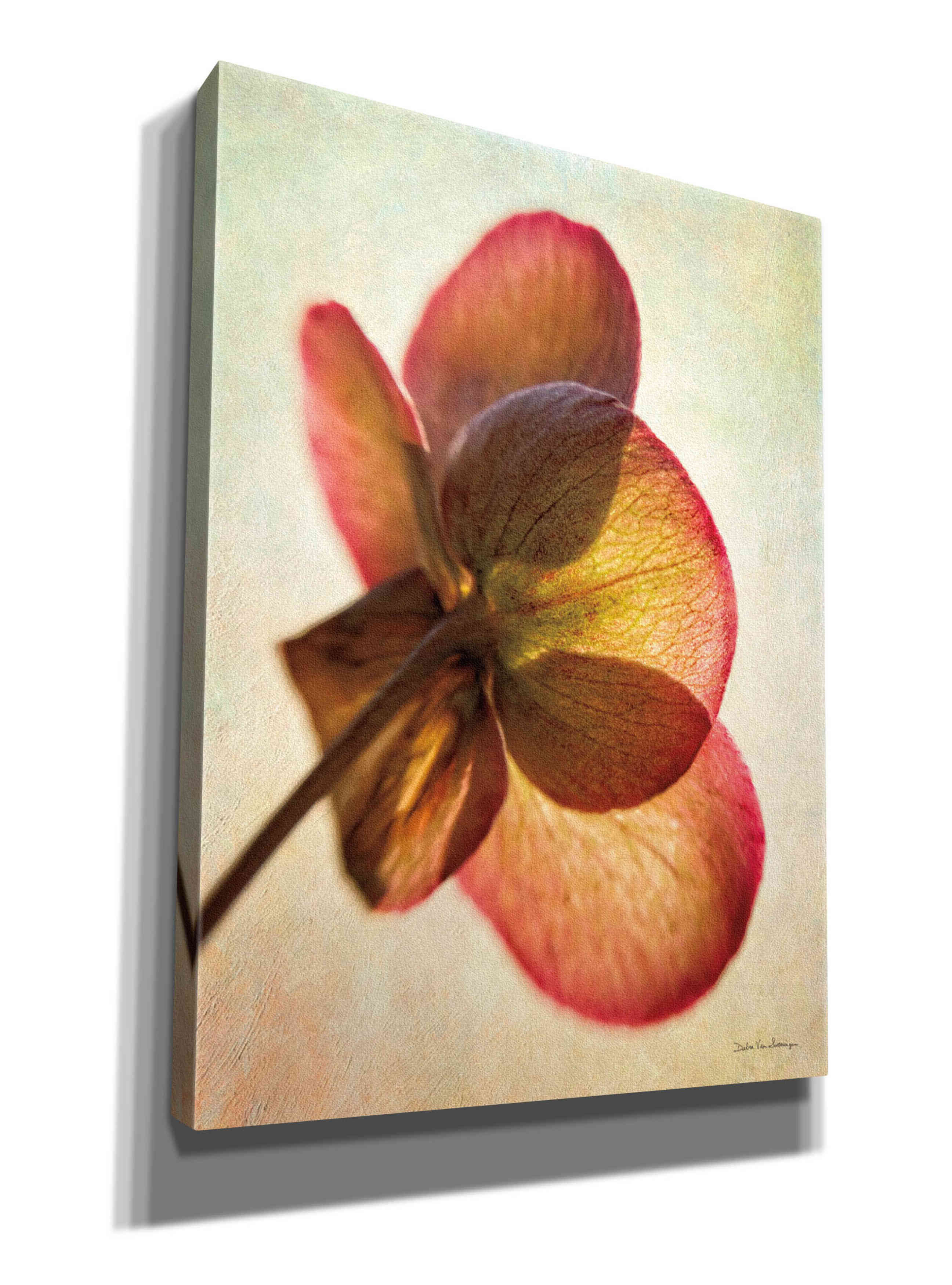 Latitude Run® 'Lenton Rose I' By Debra Van Swearingen, Canvas Wall Art ...