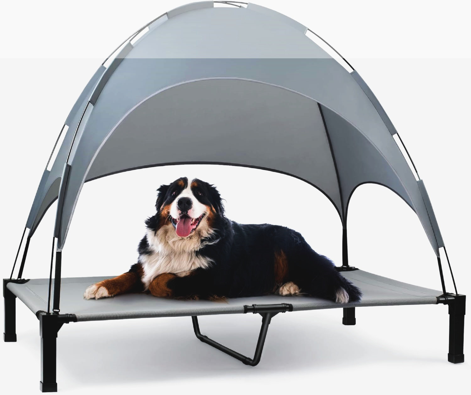 Archie & Oscar™ Portable Small Dog Cot with Removable Shade Tent ...