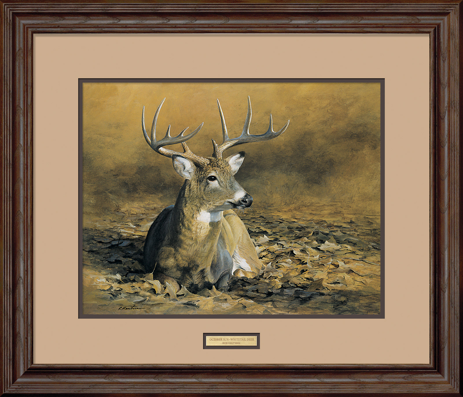 Wild Wings October Sun by Robert Hautman Framed Painting Print | Wayfair