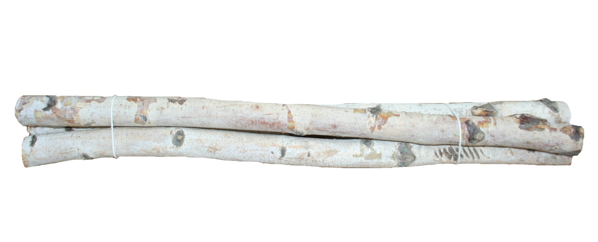 Foundry Select Wilson Arabi Birch Stick Pack & Reviews | Wayfair