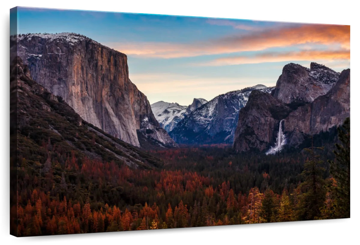 Elephant Stock Scenic Yosemite Peaks - Wayfair Canada