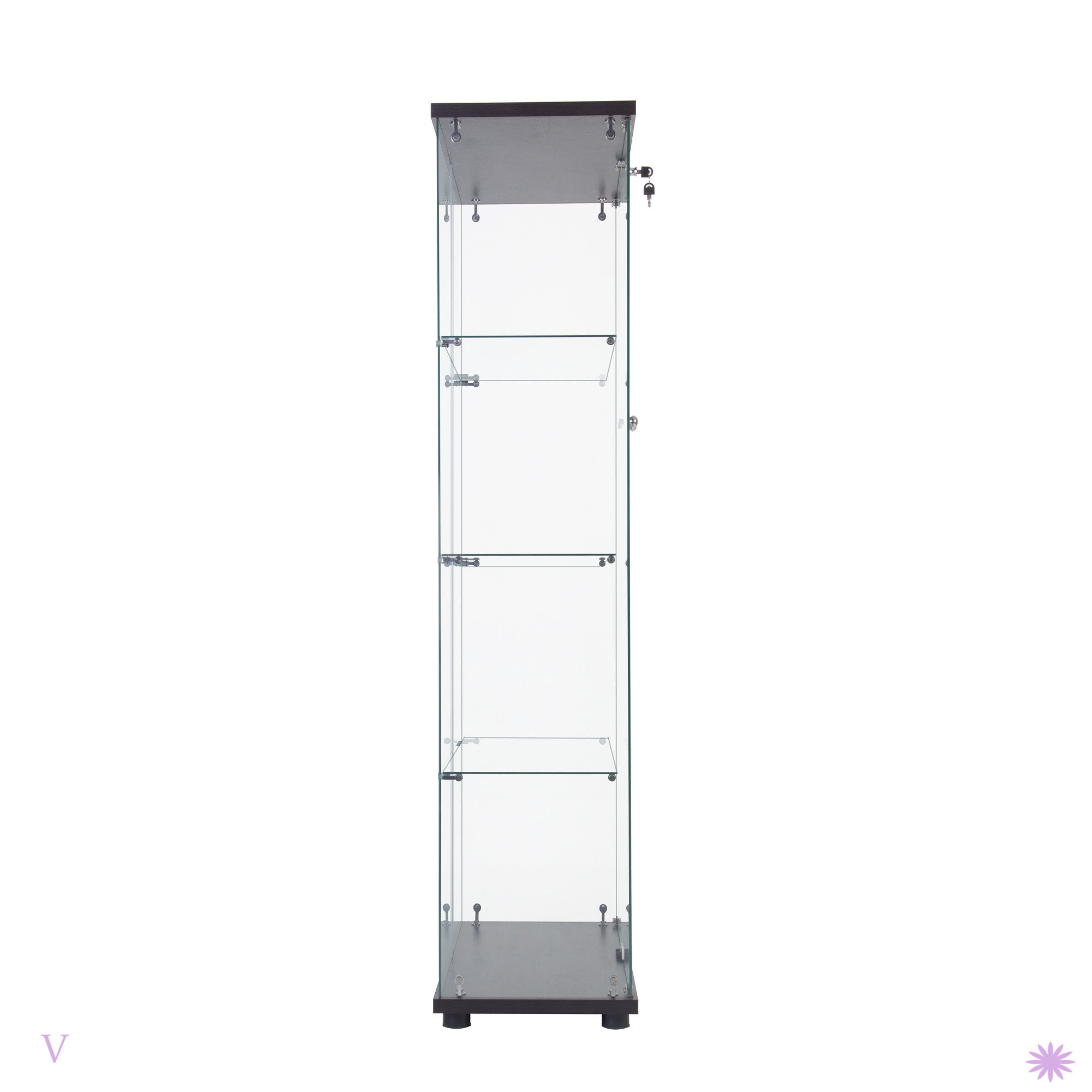 Brayden Studio Two Door Glass Cabinet Glass Display Cabinet With 4 ...
