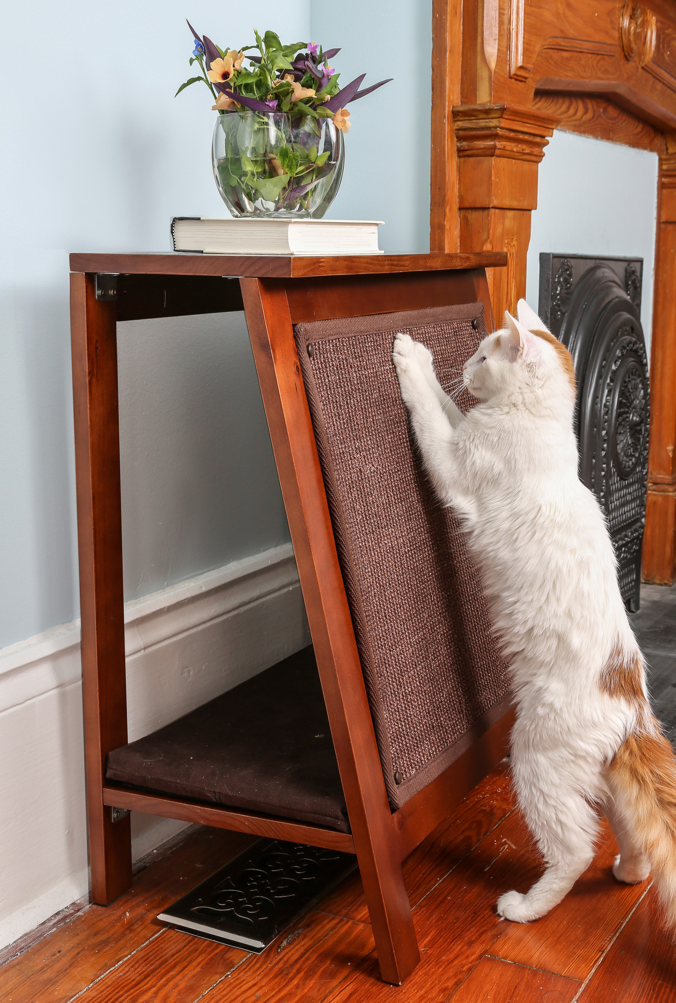 The Refined Feline Lit pour chat en forme de A et avis - Wayfair Canada