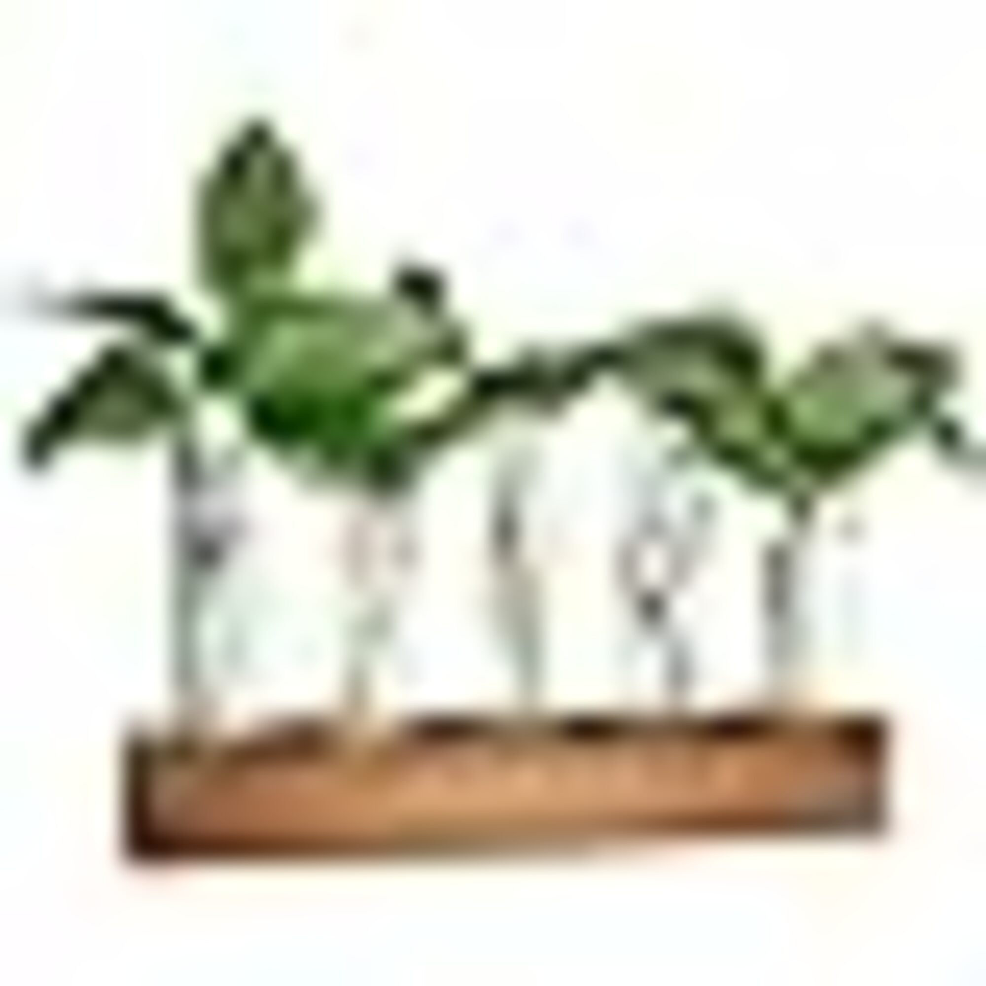 HHA Plant Propagation Station, Plant Terrarium With Wooden Stand, Plant ...