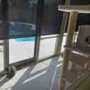 Armarkat 78" Premium Classic Real Wood Jackson Galaxy Approved Cat Tree ...