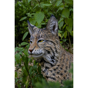 Hi-Line Gift Ltd. Sitting Bobcat Statue & Reviews | Wayfair
