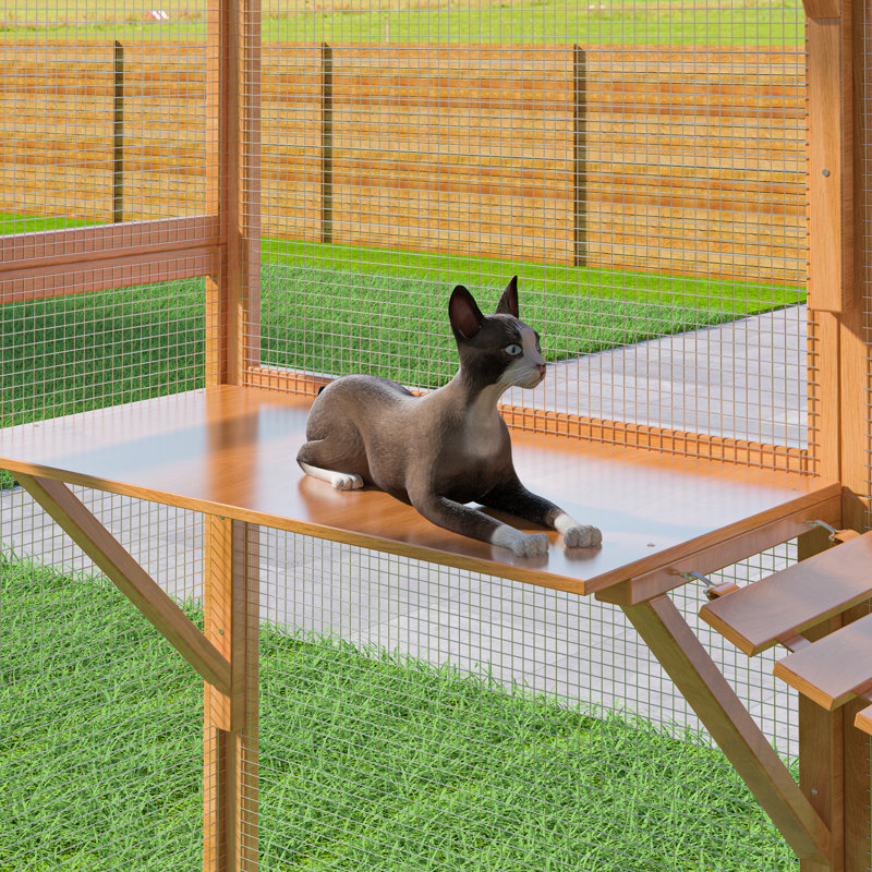 Metaoutdoors Cat Playpen & Reviews | Wayfair
