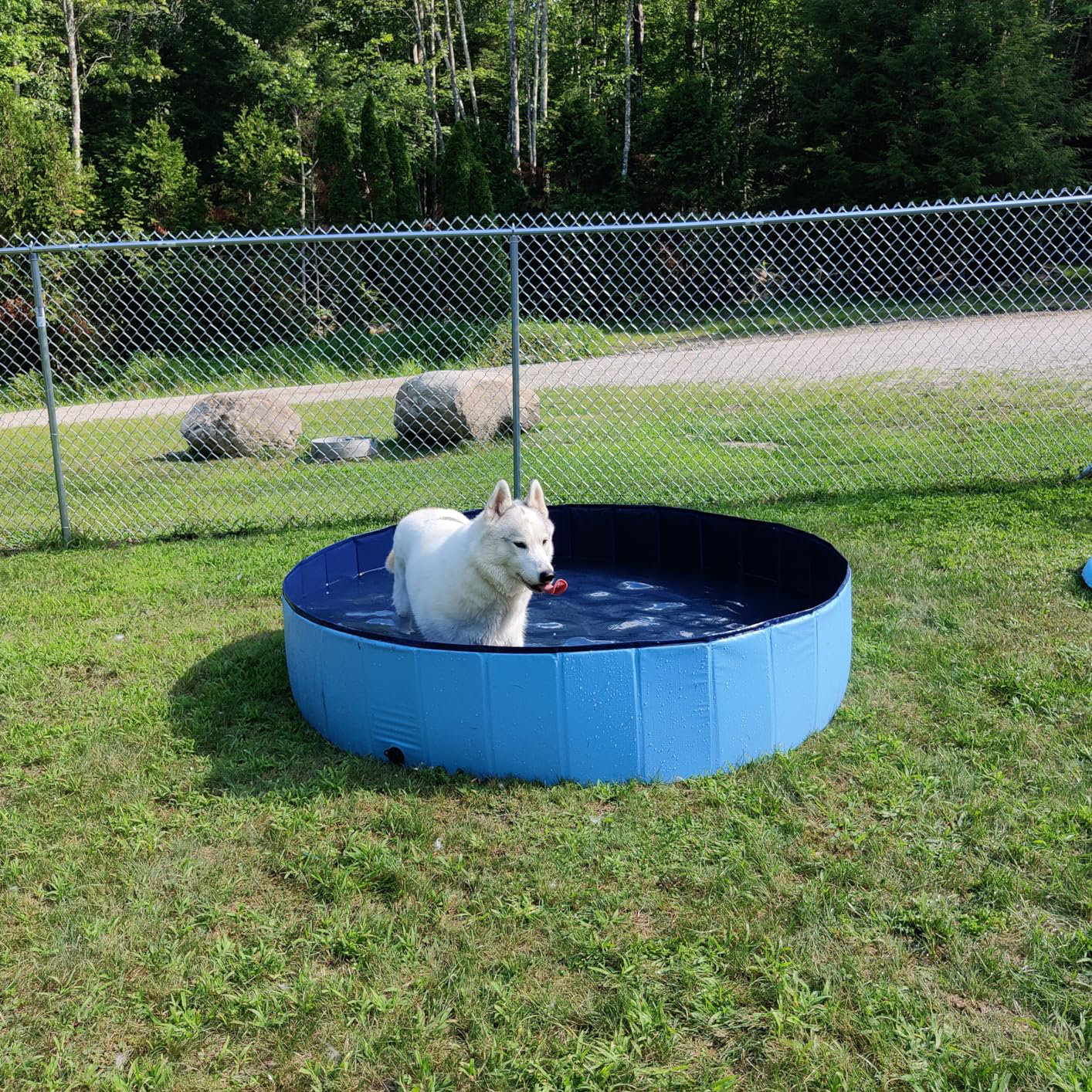 OLHAV 14' Steel Pro MAX Round Above Ground Pool Set - Wayfair Canada