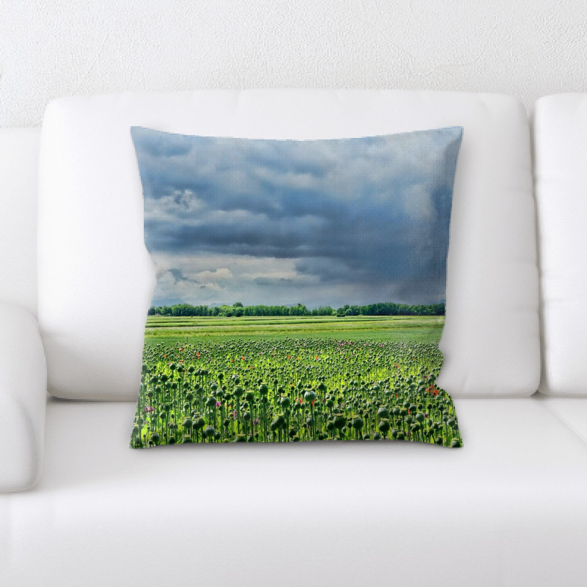 Rug Tycoon Field of Poppies Throw Pillow | Wayfair